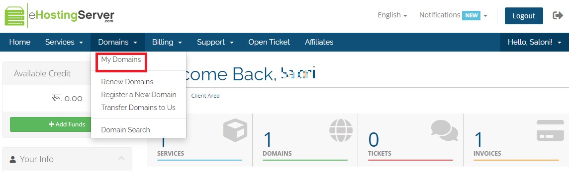 How to change Domain Nameserver? - eHostingServer