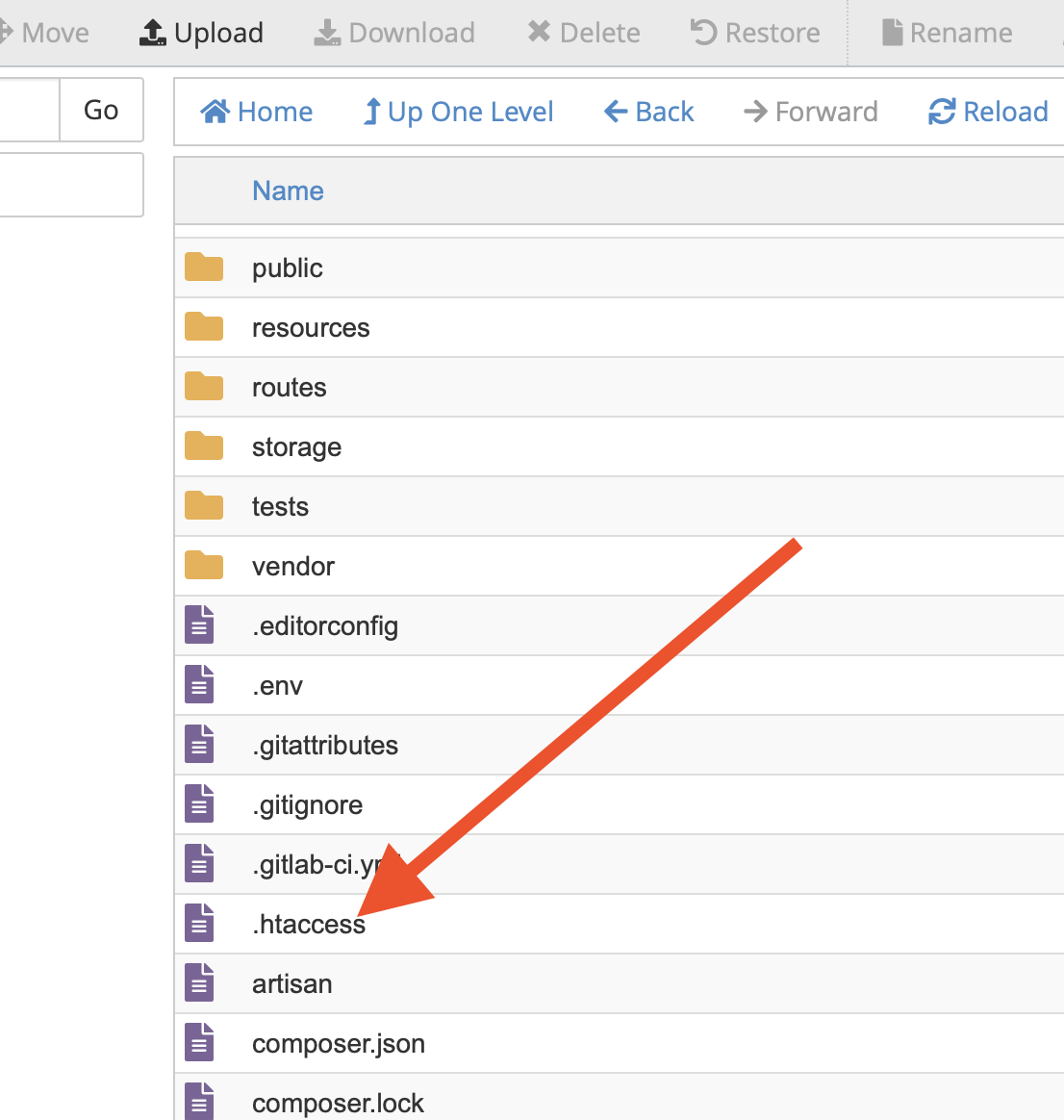 Laravel Website: Redirecting /public Folder to Main Domain Using ...